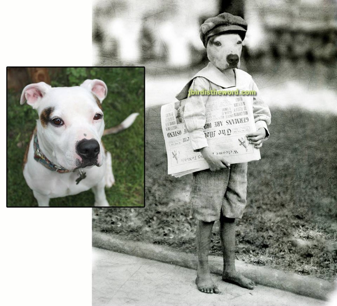 Weird Gift Him Men Oddity Gifts Wierd Ideas Oddity | Etsy