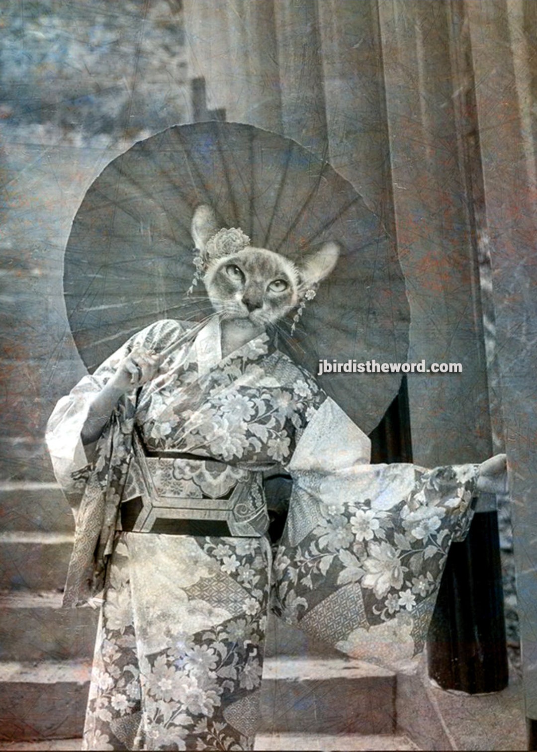 Siamese Cat, Crazy Lady Art, Kawaii Room Decor, Pet Lover Gift ...