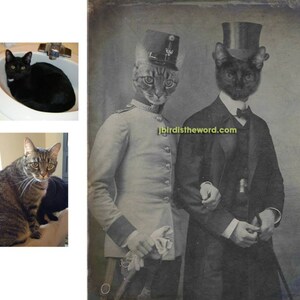 Velociraptor, Dapper Raptor, Dinosaur Cards, Jurassic World, Lizard ...