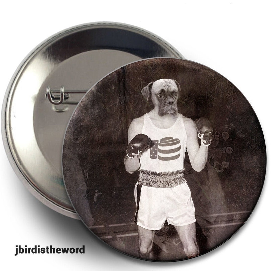Boxer Dog, Boxers Boxing, Bag Pin, Gym Rat Idea, Former Heavyweight ...