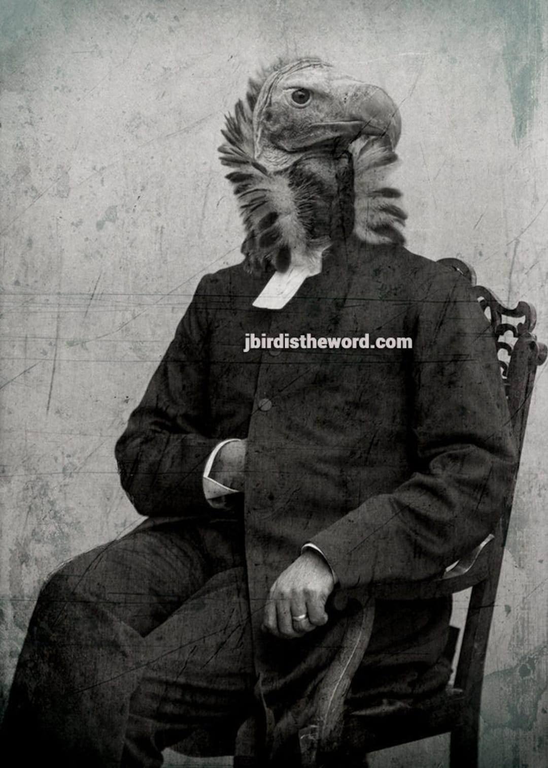 Antique Oddities, Taxidermy Bird, Macabre Decor, Witchy Wall Art ...