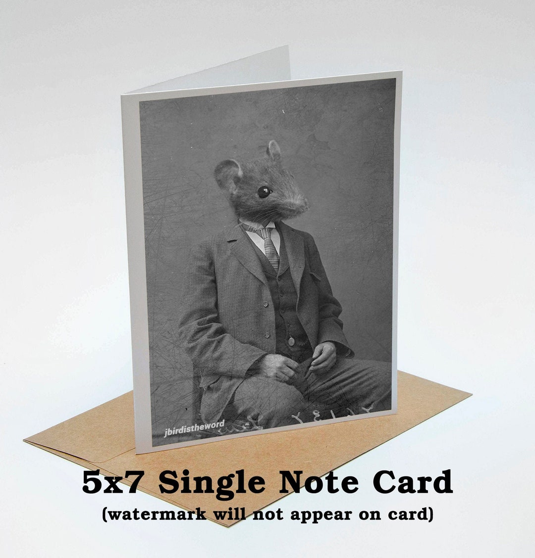 Mouse Mice, Great Gatsby Card, Zootopia, 1900s Vintage, Animal ...