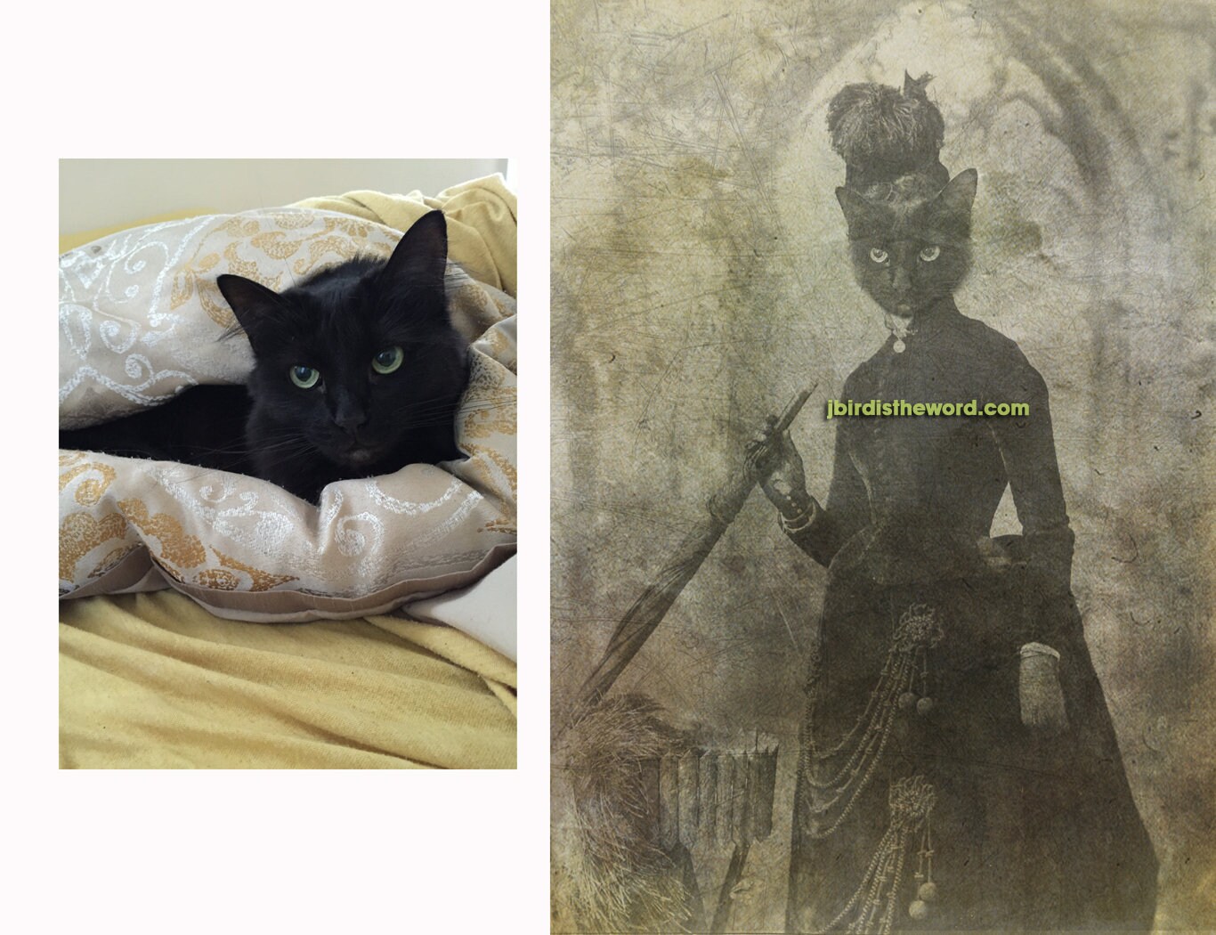 Raptor Velociraptor Dinosaur 5x7 Raptor Print Dinosaur | Etsy