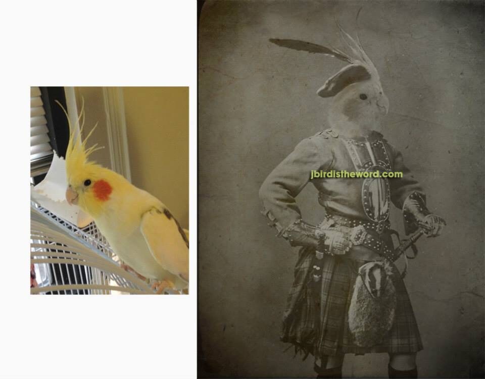 Raptor Velociraptor Dinosaur 5x7 Raptor Print Dinosaur | Etsy