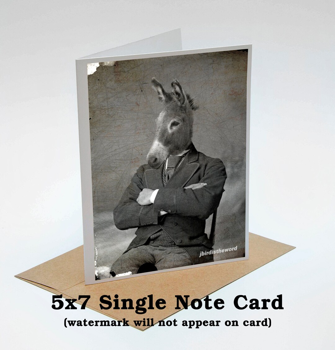 Donkey Note Card, Jackass Funny, Gift for Farmer, Stubborn as a Mule ...