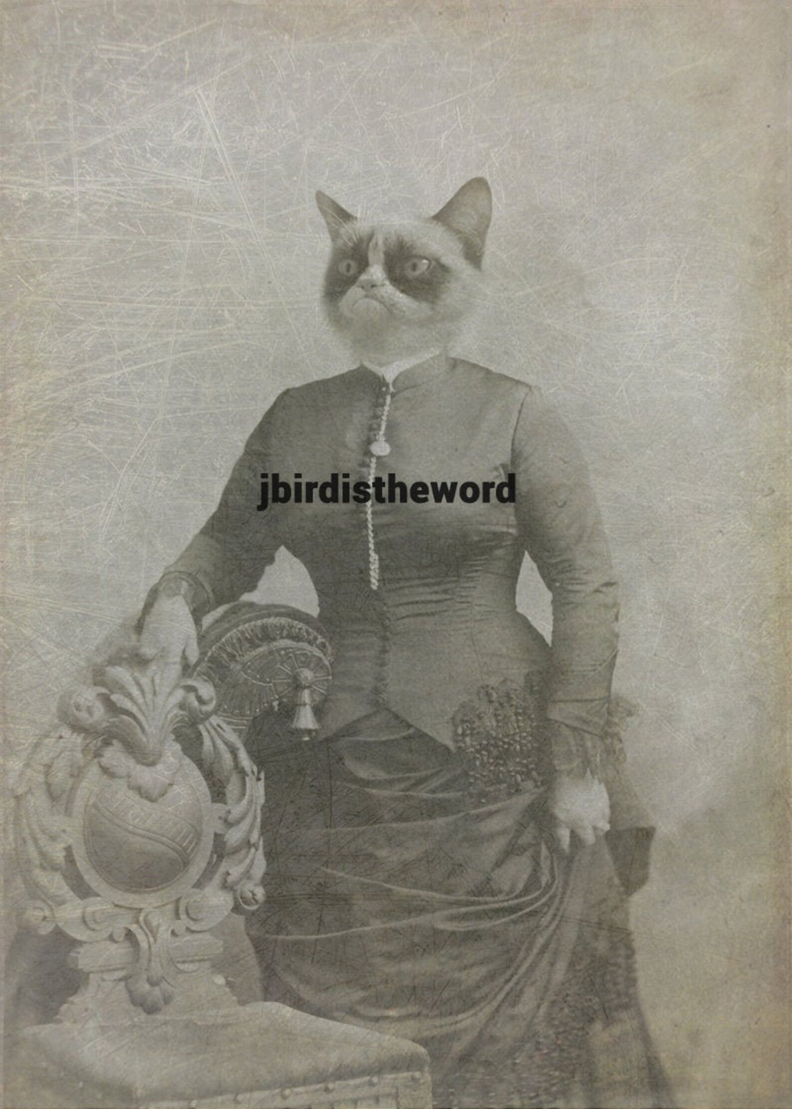 Grumpy Cat Love Cats LOL Reddit Art Famous Internet Funny | Etsy