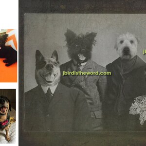 Mouse Mice, Great Gatsby Card, 1920s Flapper, 1900s Vintage, Animal ...