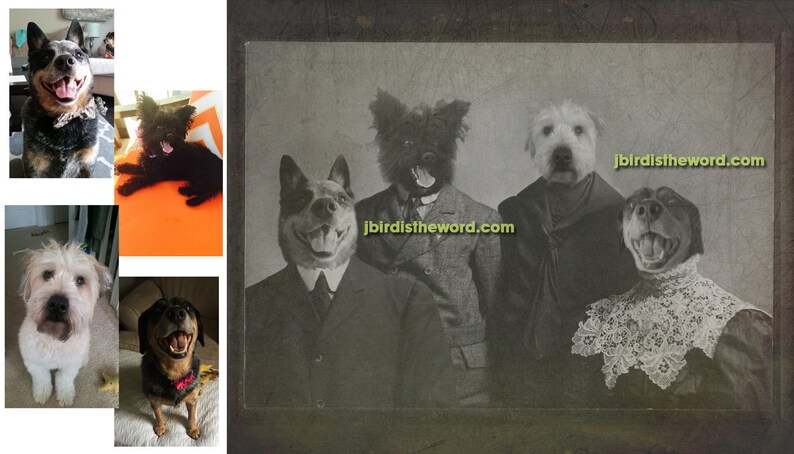 Mouse Mice, Great Gatsby Card, 1920s Flapper, 1900s Vintage, Animal ...