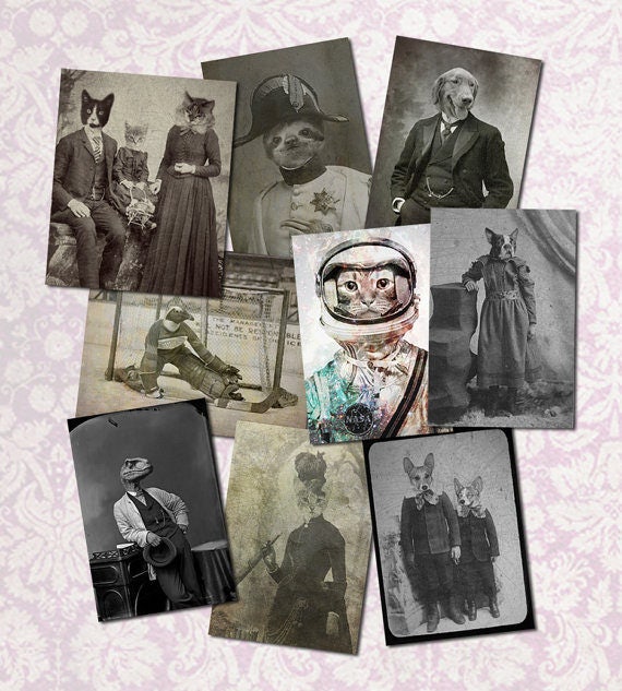 Ferrets Ferret Ferret Gift Animal Stationery Letter | Etsy