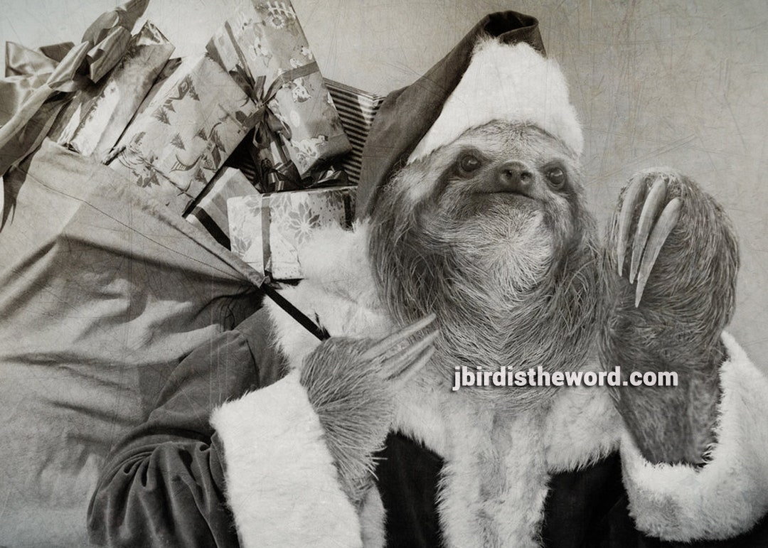 Sloth Sloths Zootopia Theme Cubicle Decor Safari Baby - Etsy