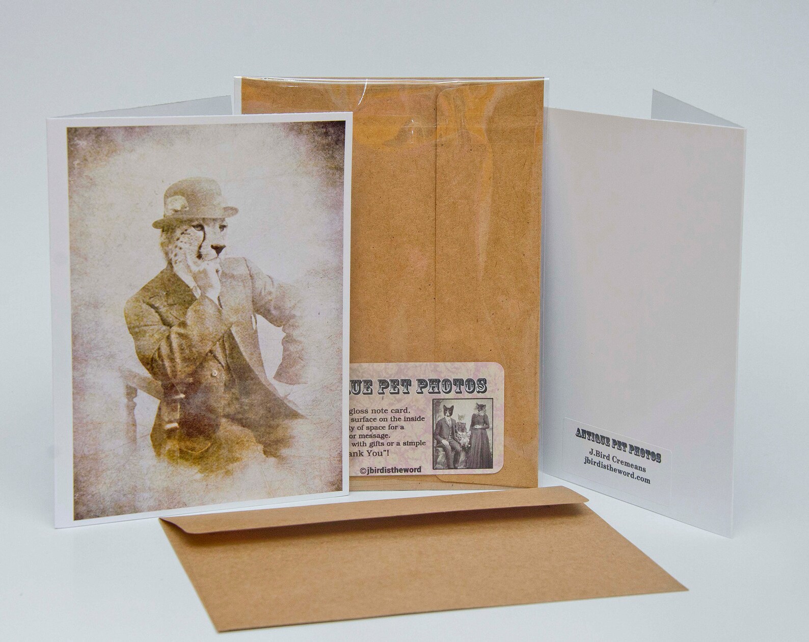 Cheetah Cards Big Cat Zootopia Theme African Wildlife - Etsy