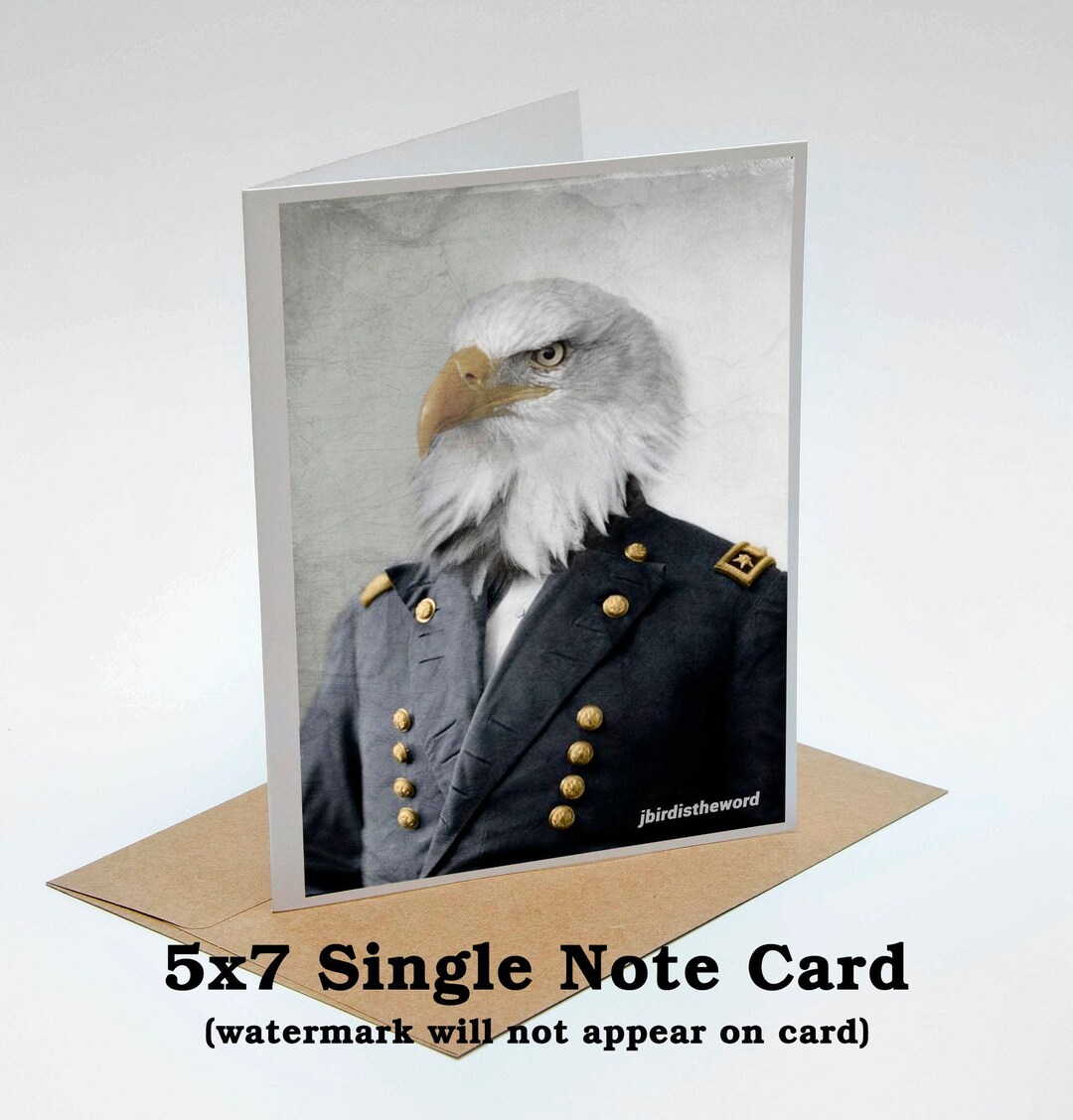 Veterans Day, Eagle Note Cards, Patriotic Military, Civil War ...