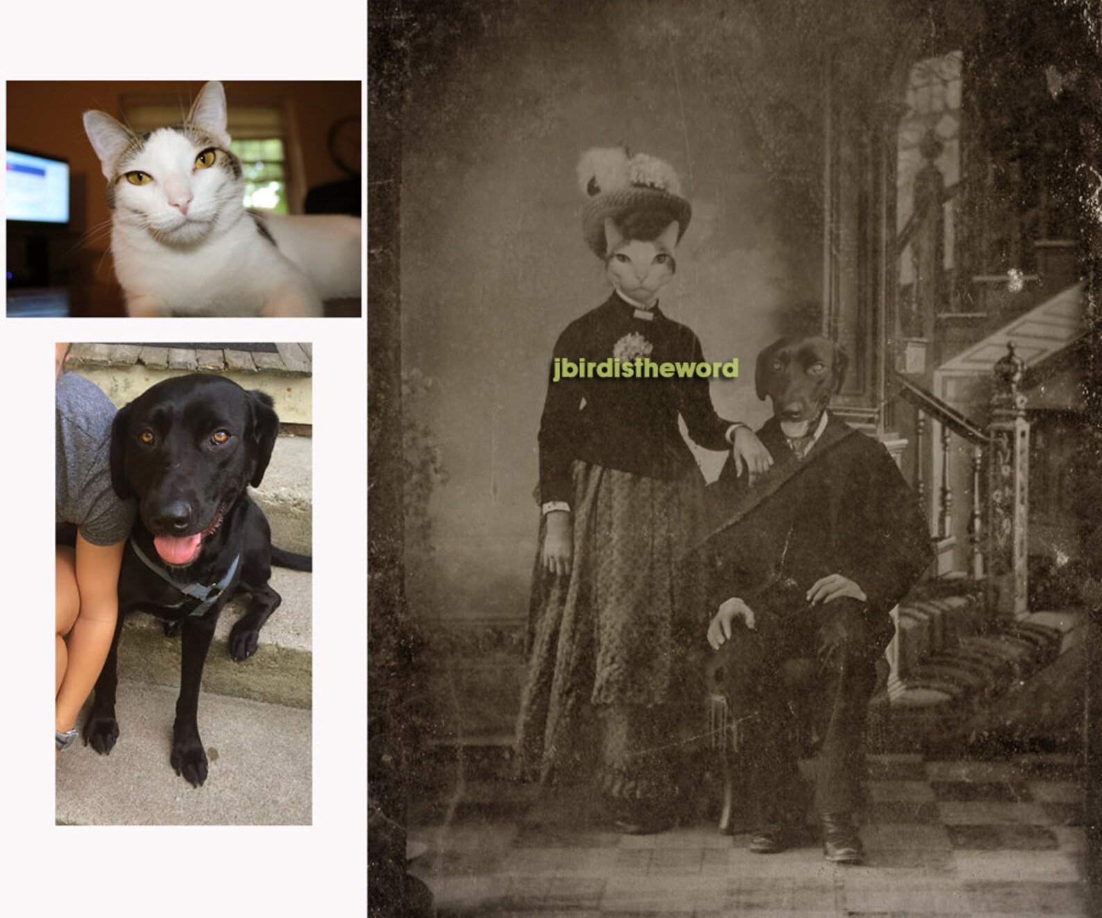 Ferrets Ferret Ferret Gift Animal Stationery Letter | Etsy