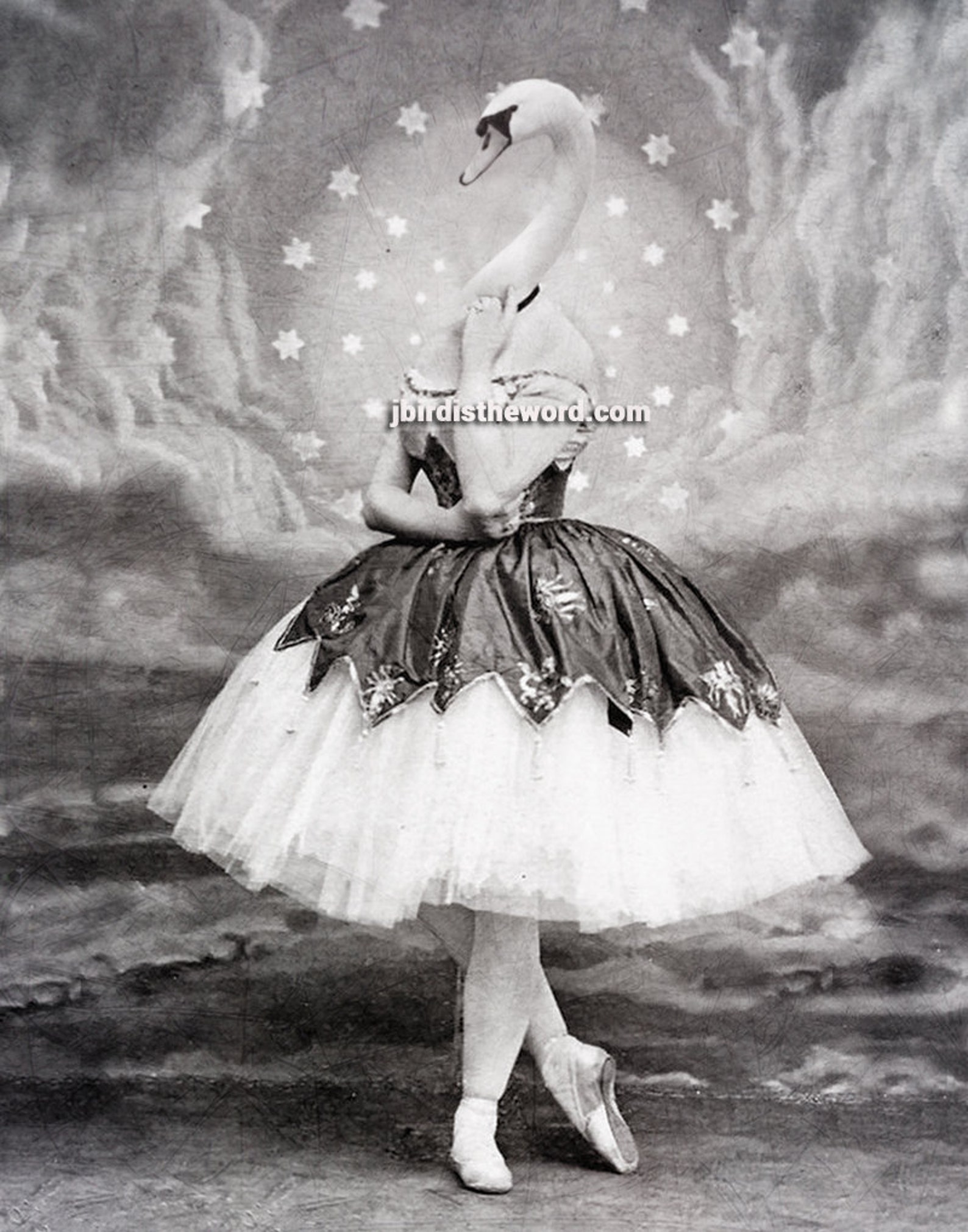 Ballerina Wall Art, Ballet Print, White Swan Bird, Swan Lake, Dance ...