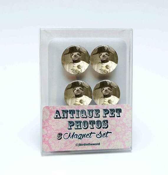 Sloth Cubicle Decor Trending Now Safari Baby Shower Most | Etsy