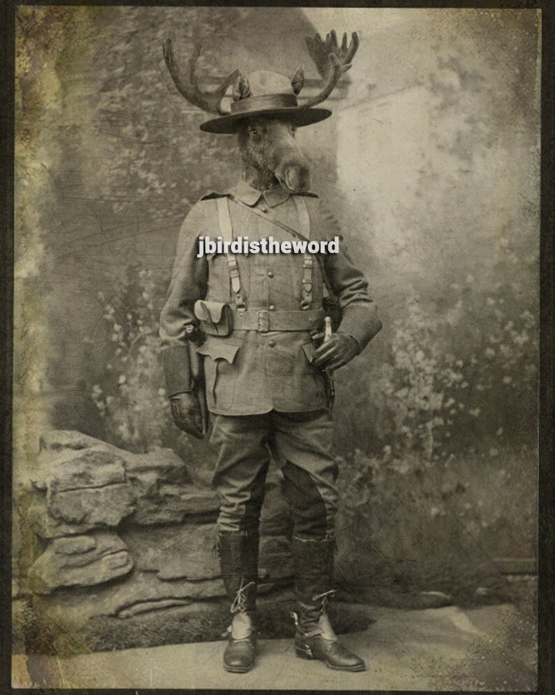 Canada Print Moose Mountie Canadian Military Lake House | Etsy