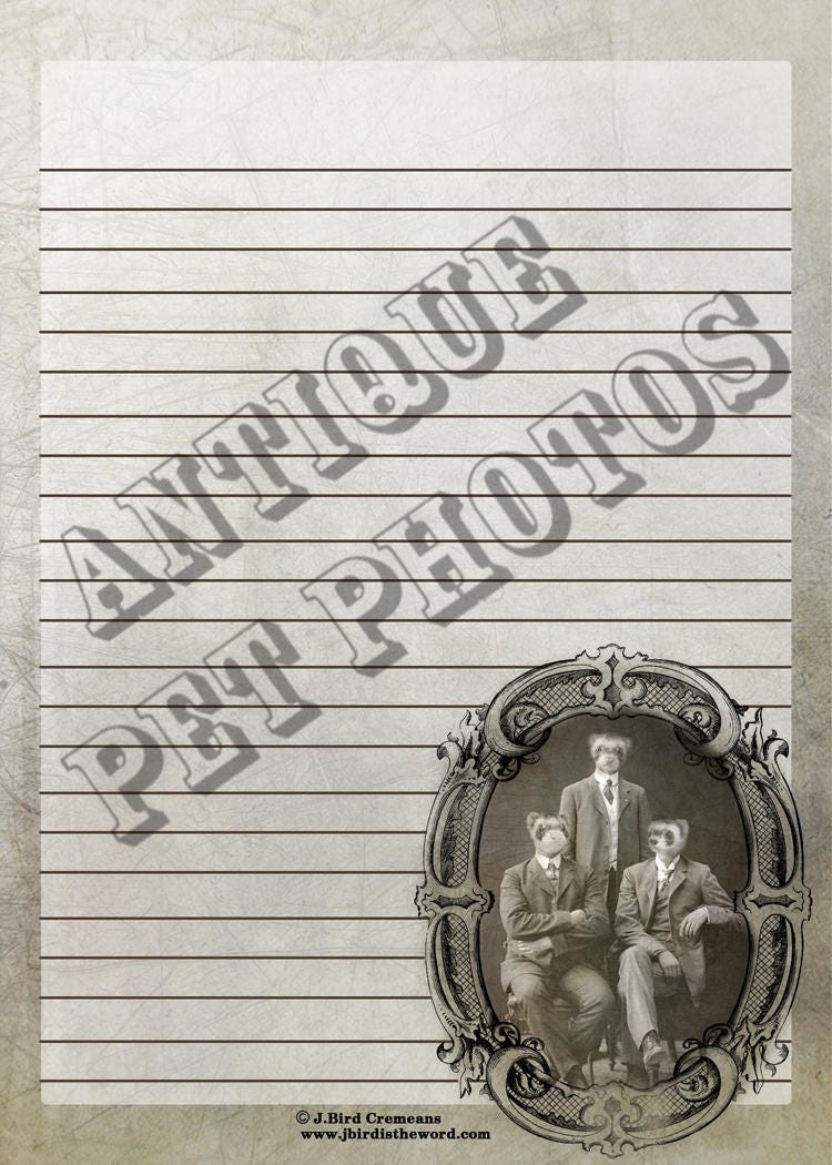 Ferrets Ferret Ferret Gift Animal Stationery Letter | Etsy