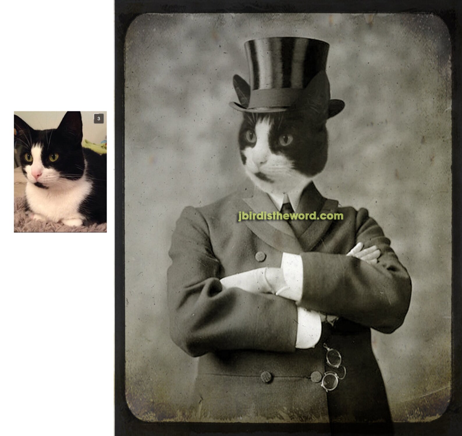 Raptor Velociraptor Dinosaur 5x7 Raptor Print Dinosaur | Etsy