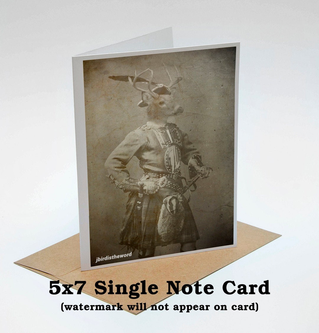 Stag Note Cards, Gift for Him, Deer Antlers, Animal Note Cards ...