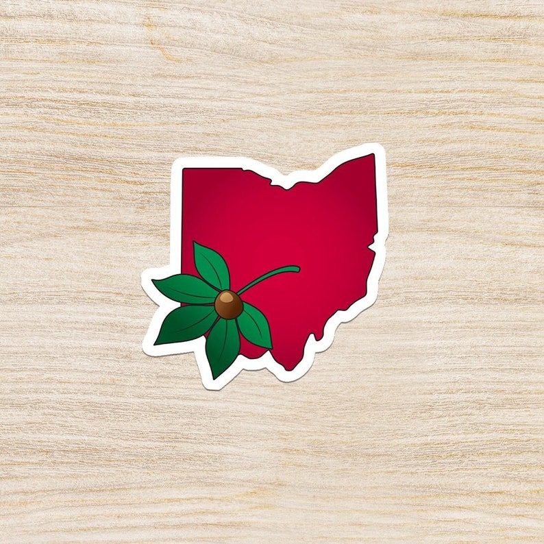 Buckeye Leaf Sticker - Vinyl Sticker, Laptop Stickers, Water Bottle ...