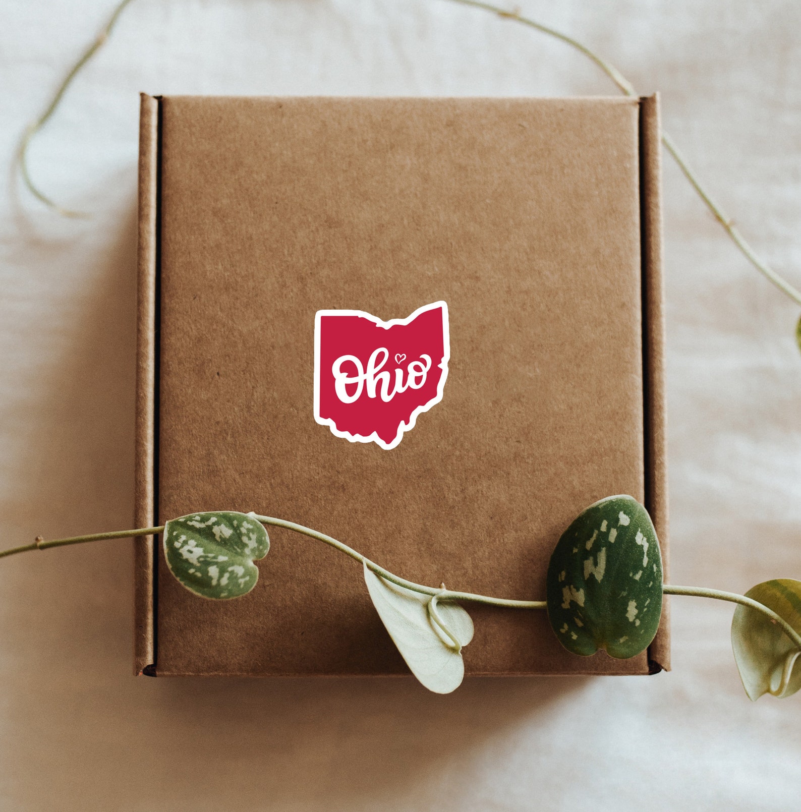 Ohio Script Sticker - Vinyl Sticker, Laptop Stickers, Hydroflask ...