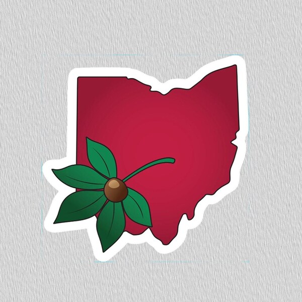 Ohio State Water Bottle Stickers - Etsy