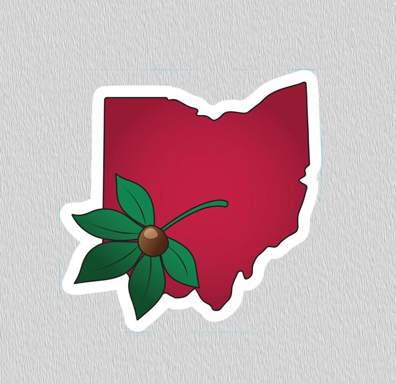 Ohio Buckeye Leaf Sticker Vinyl Sticker Laptop Stickers - Etsy