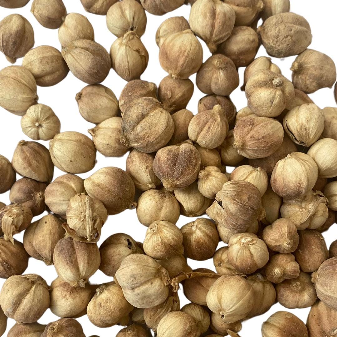 Organic Cardamom - Powder Forms Available (suitable for Cooking, Baking ...