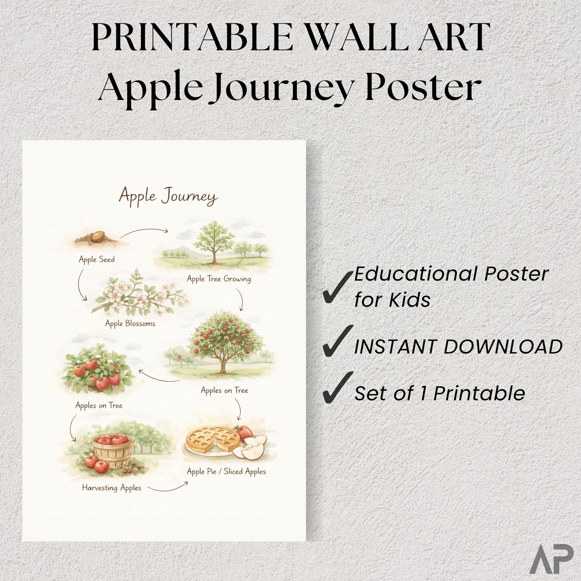 Apple Life Cycle Poster, Where Food Comes From, Montessori, Homeschool ...