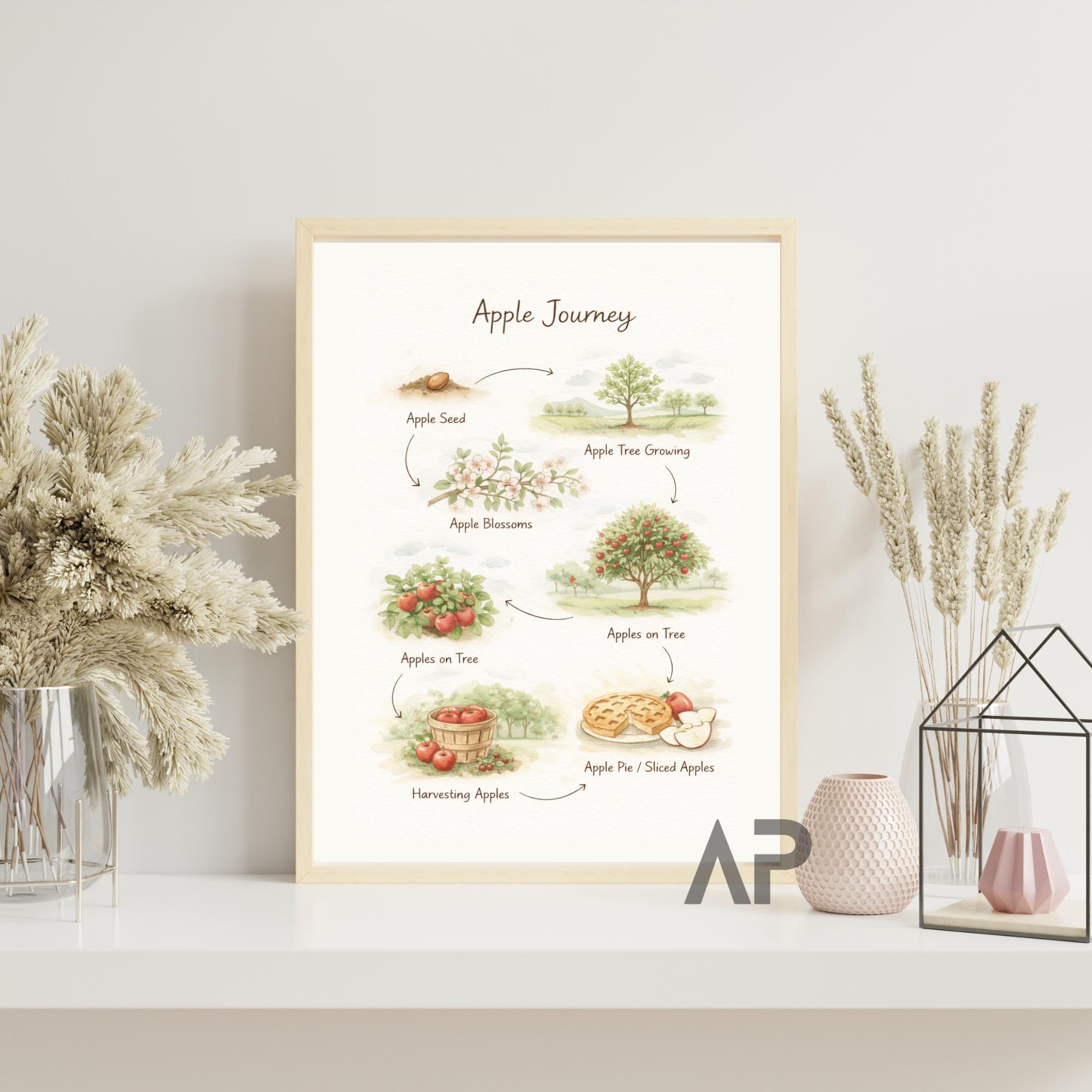 Apple Life Cycle Poster, Where Food Comes From, Montessori, Homeschool ...
