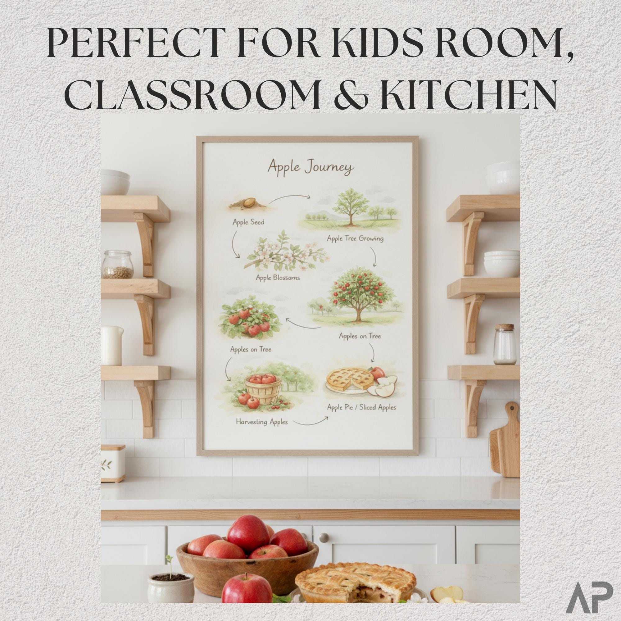 Apple Life Cycle Poster, Where Food Comes From, Montessori, Homeschool ...