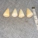 Yellow/white Cone Shells - Set of 4 - Etsy