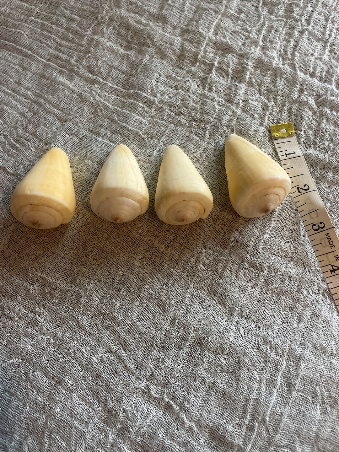 Yellow/white Cone Shells - Set of 4 - Etsy