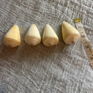 Yellow/white Cone Shells - Set of 4 - Etsy