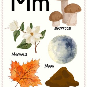 Nature-inspired Flashcards - Etsy