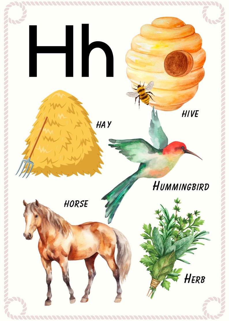 Nature-inspired Flashcards - Etsy