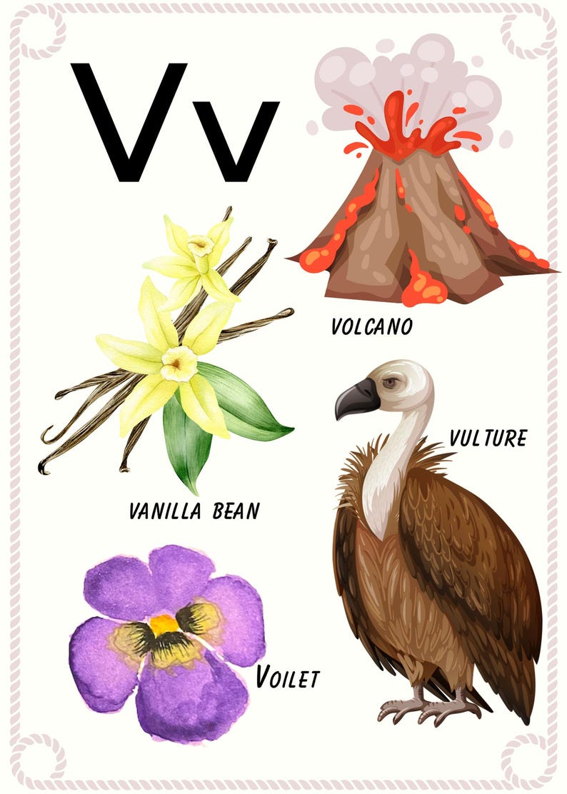 Nature-inspired Flashcards - Etsy