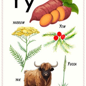 Nature-inspired Flashcards - Etsy