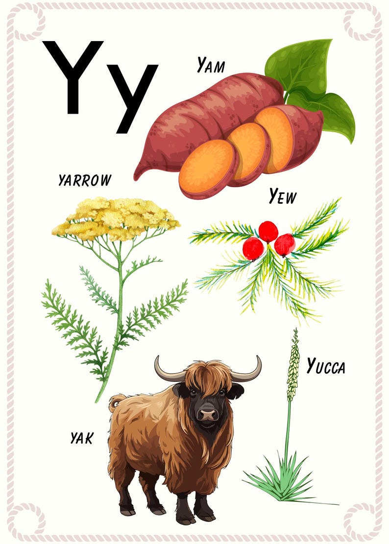 Nature-inspired Flashcards - Etsy