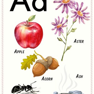 Nature-inspired Flashcards - Etsy