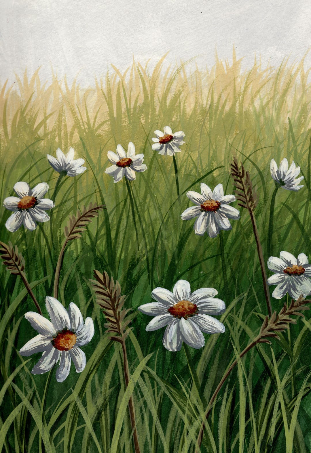 Art Print | "wildflower Daisies" | Reproduction of Original Gouache ...
