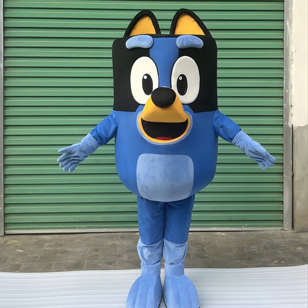 Bluey Dress Adults - Etsy