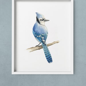 Watercolour Blue Jay Art Print - Watercolour Bird - Bird Painting by ...