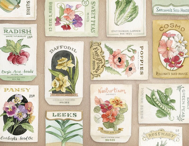 Vintage Seed Packet Art Print — Alicia's Infinity