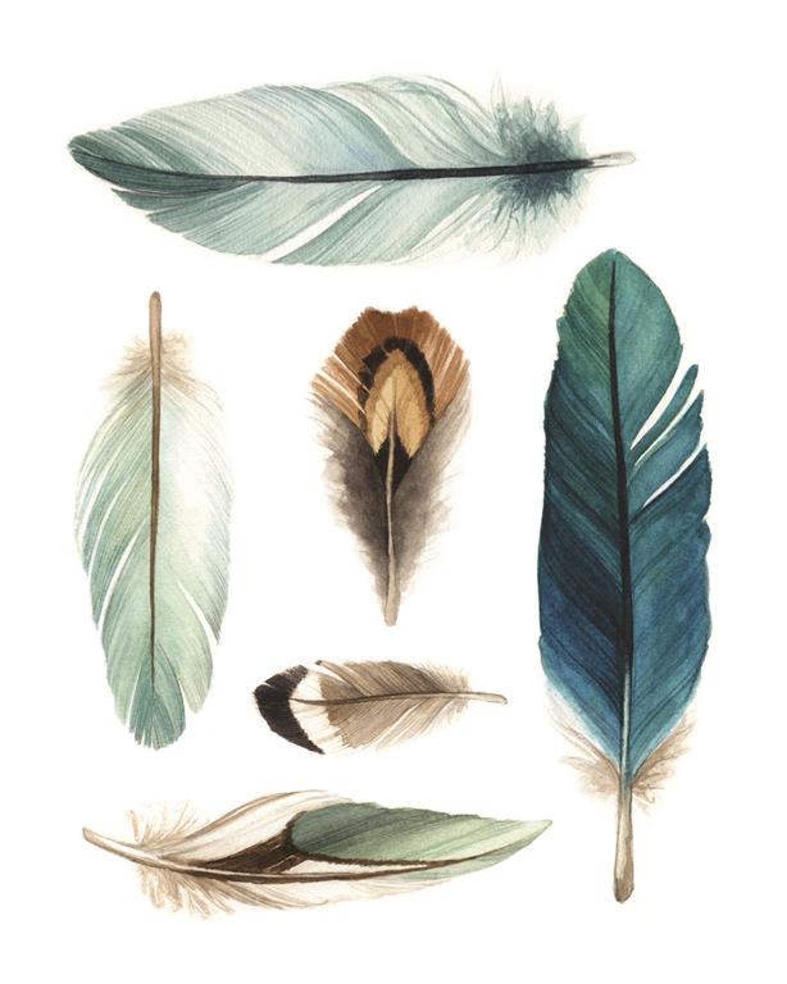 6 Collected Feathers a teal Blue Tones | Etsy
