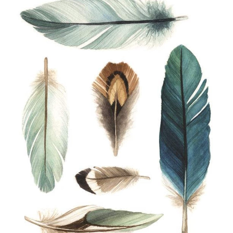 Blue Feather Print - Etsy