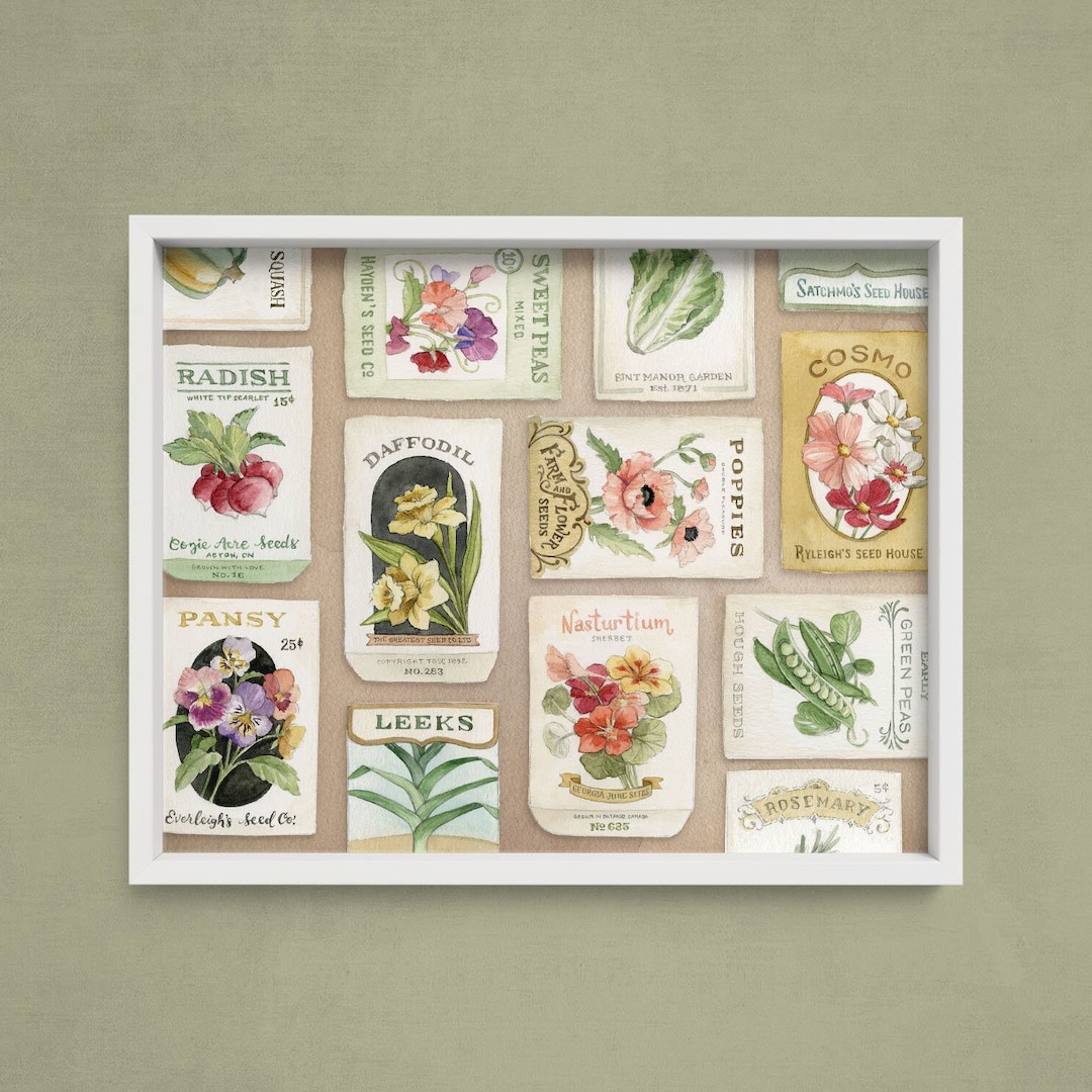Vintage Seed Packet Illustration - Gardening Themed Watercolour Art ...
