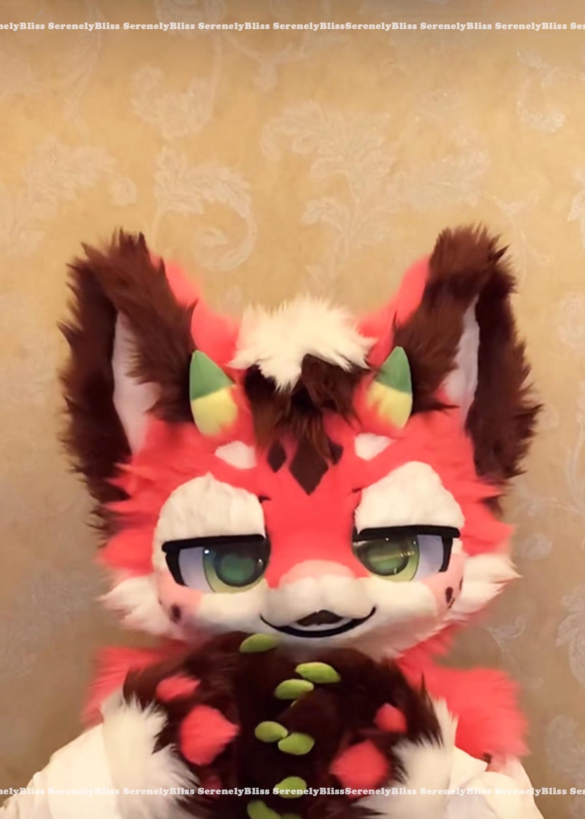 Fursuit Head, Pitaya Beast, Kemono Fursuit, Cosplay Convention ...