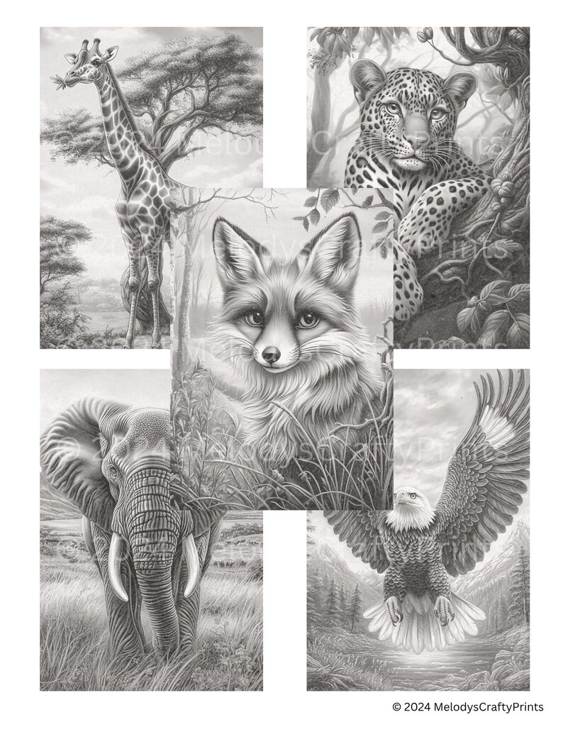 Wild Animals Grayscale Coloring Pages: Adult Relaxation, Safari Jungle ...