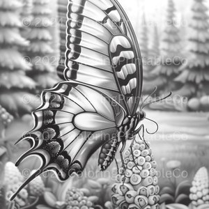 Winged Animals Grayscale Coloring Pages for Adults - Birds, Dragonfly ...